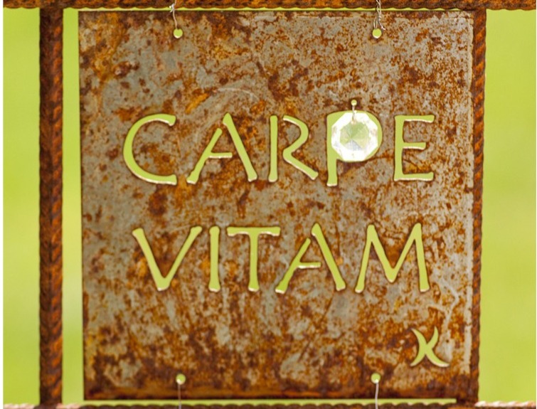 Carpe vitam / La espera – IES Santiago Apóstol